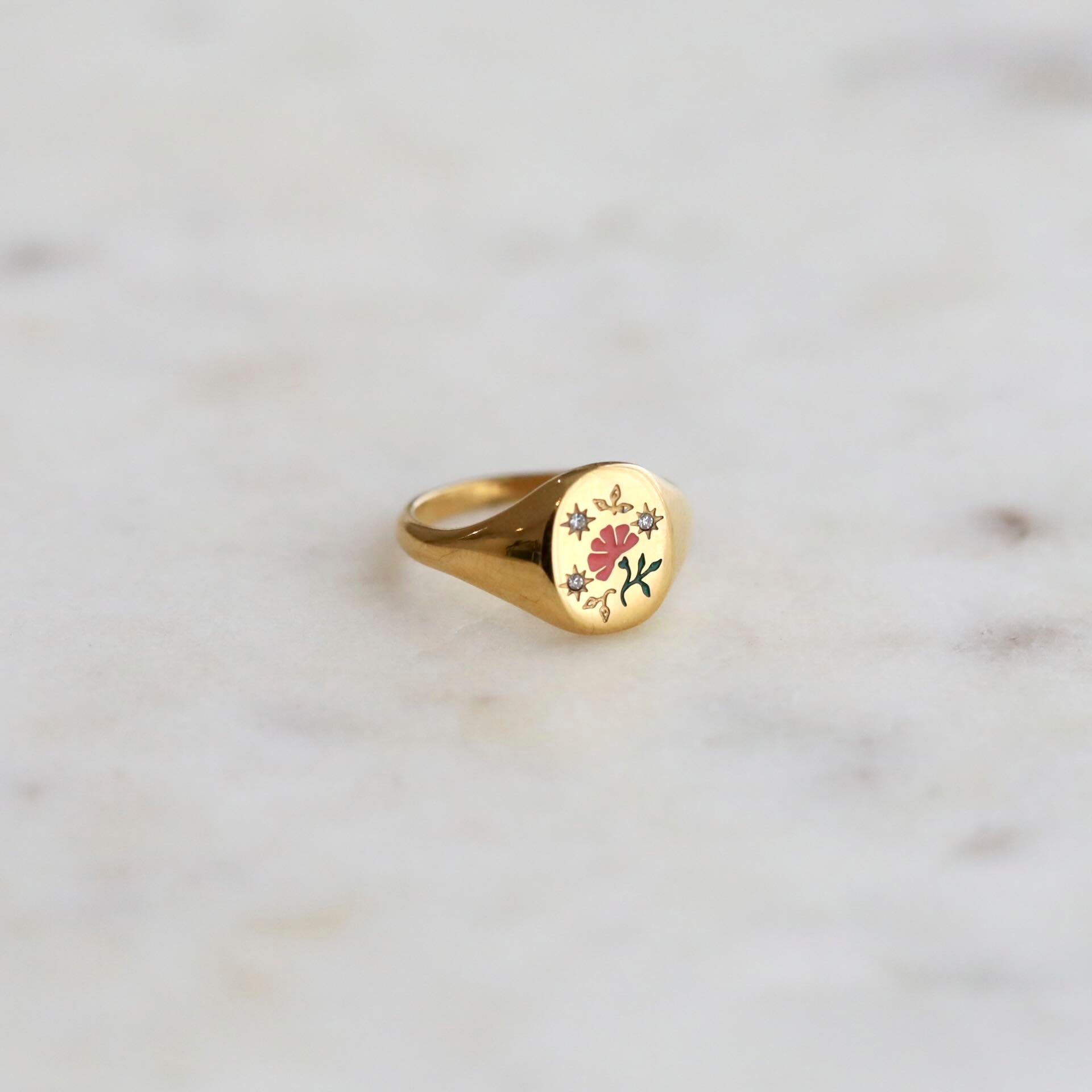 Signet Picture Rings | Unique Enamel Designs | MRS V